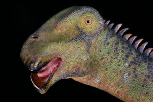 Nigersaurus: The Dinosaur With 500 Teeth Explained